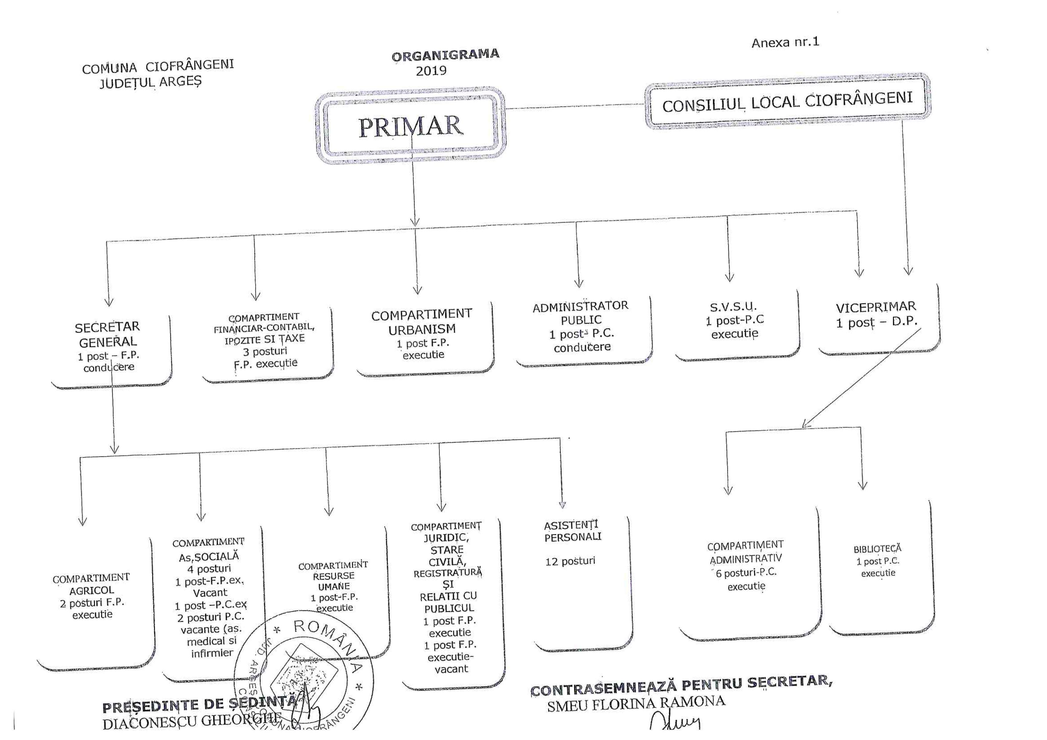 Organigrama - Cj Arges